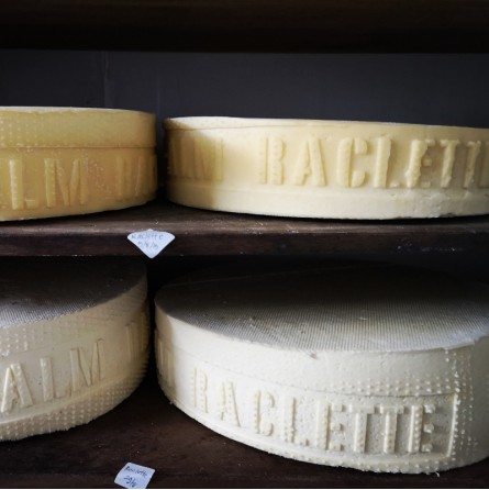 Cheese - Bali Food Store